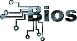 bios.jpg - Eli ramos