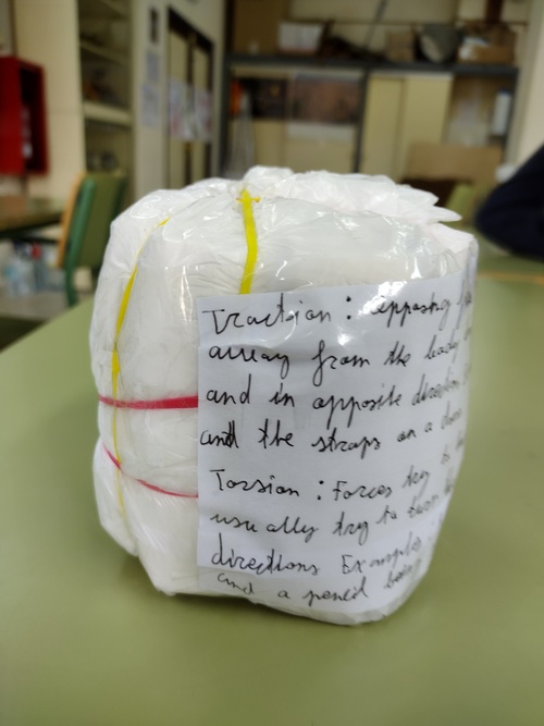 2022 - 01A Egg Drop.jpg - Luis Vaquerizo