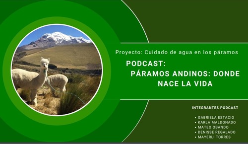 PÁRAMOS ANDINOS DONDE NACE LA VIDA - Enfoque 360