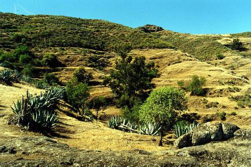 El clima en España - Javier Ordaz