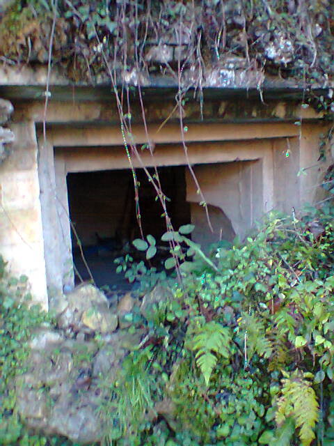 Foto0016.jpg - Mikel Rodríguez